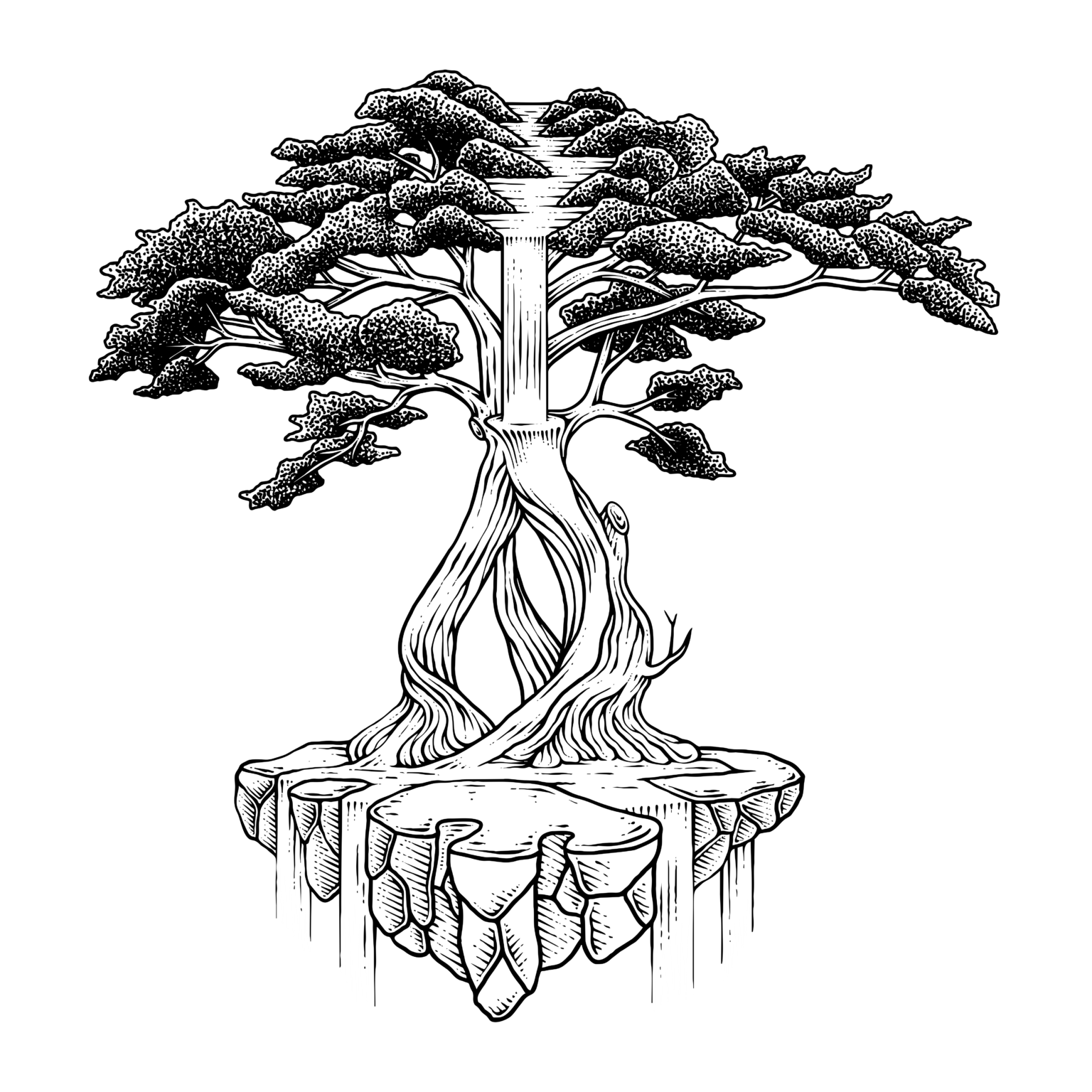 About Yachay Wasi - Yachay Wasi Ayahuasca Center